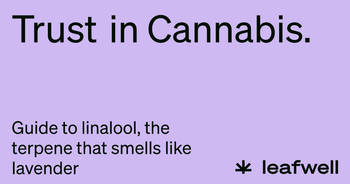 What is linalool? Learn the benefits, uses, and risks.