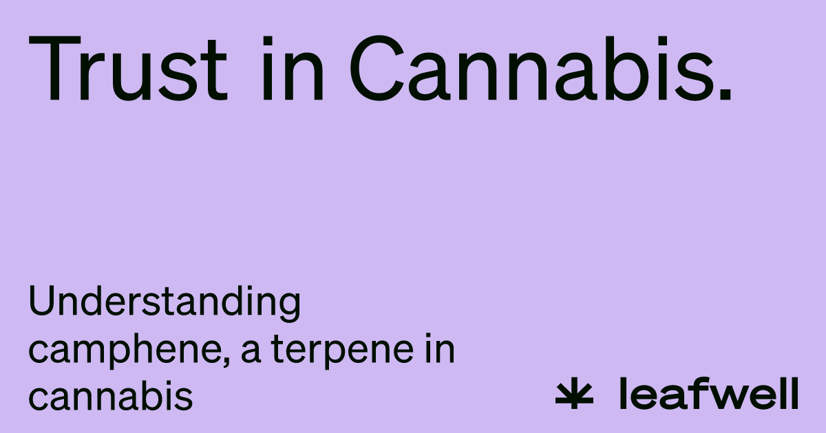 What is camphene: Benefits, uses, risks, and more